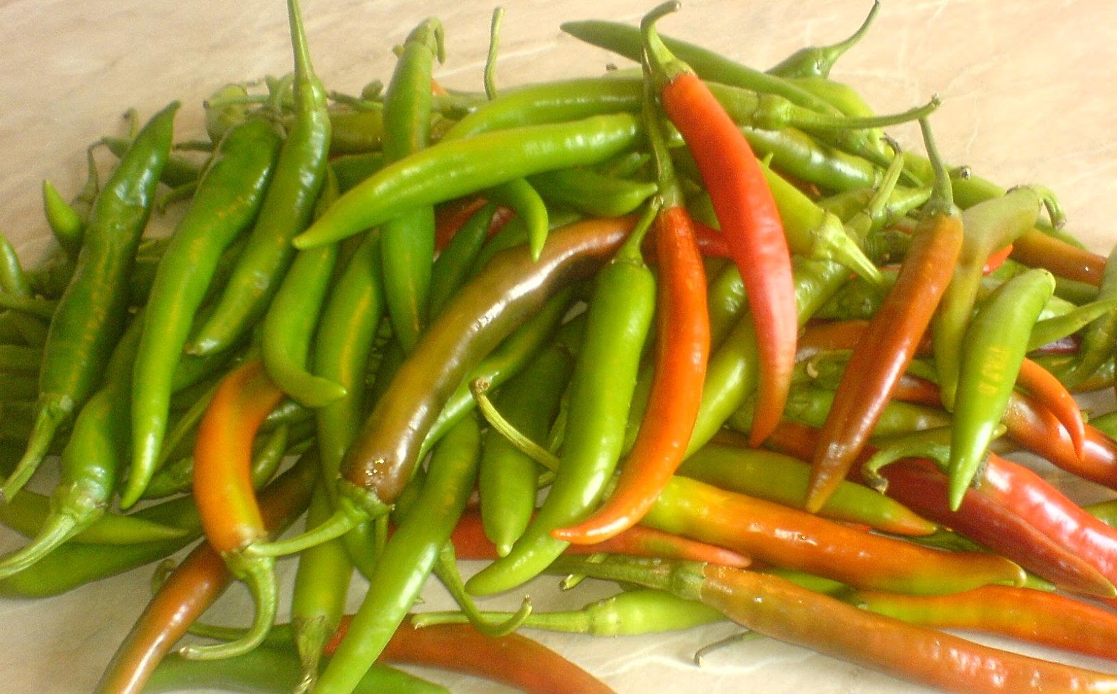 Ciusca murata | Preparatedevis.ro