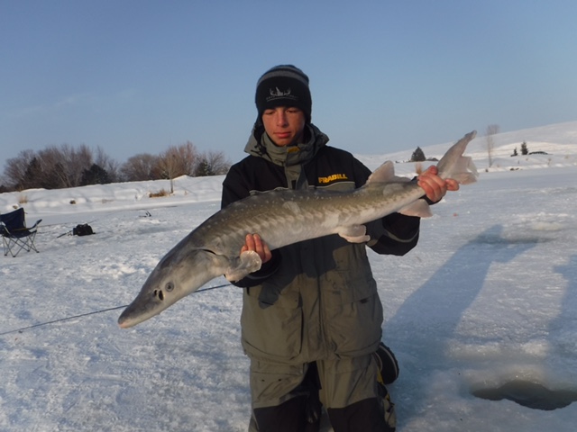 Idaho Pursuit: Sturgeon Through The Ice!!!