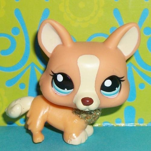 Lps corgi blog