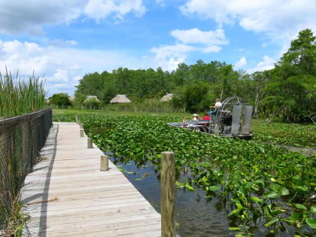 Another American Adventure: The Swamp Water Cafe and Billie Swamp Safari