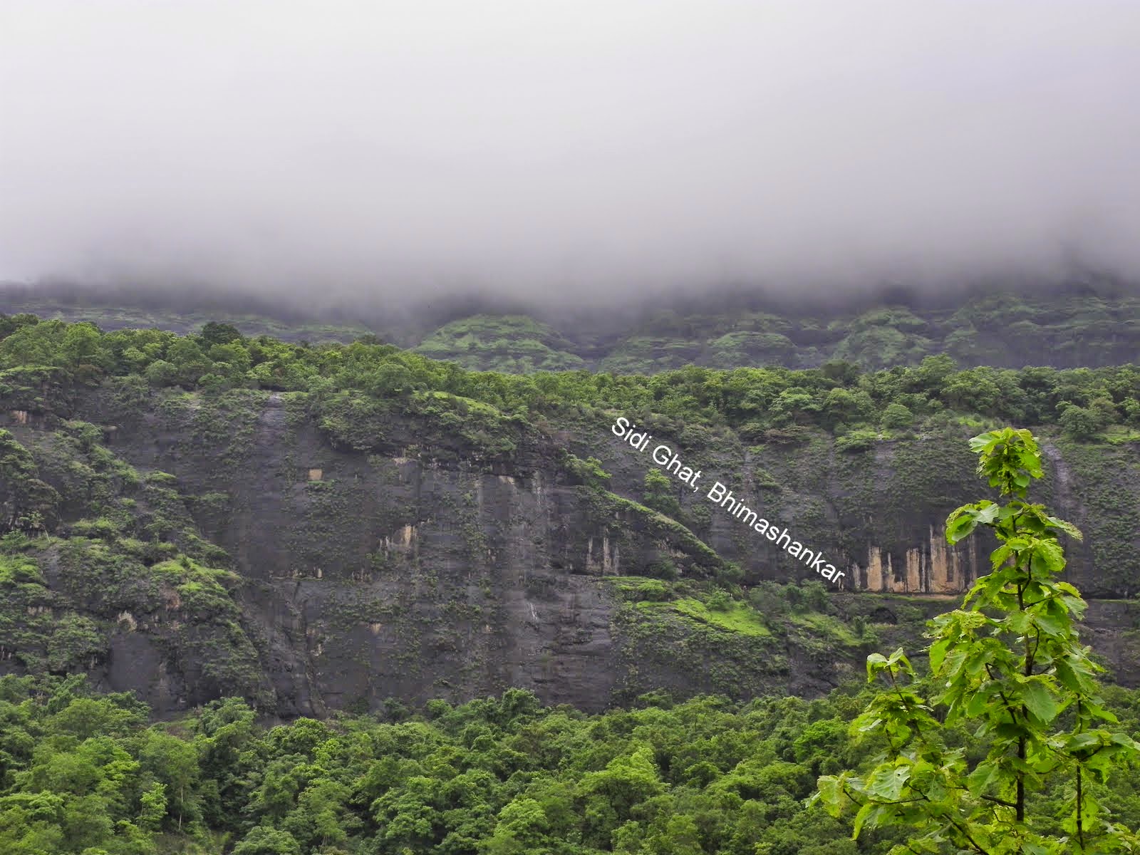 Bhimashankar Trek ~ Offbeat Mandala
