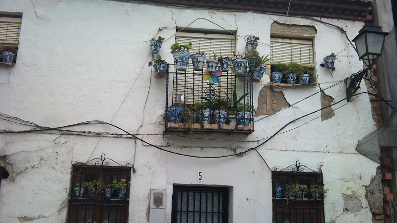 Sousies tägliche Gedanken