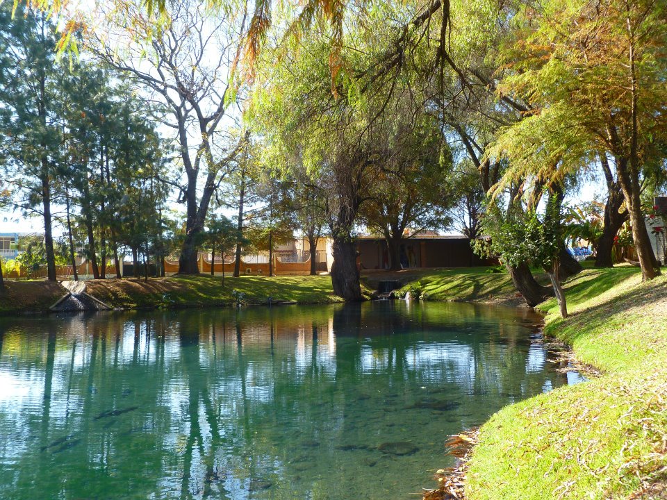 Jaime Ramos Méndez: Manantial Cupátziro en Tangancícuaro, Michoacán ...
