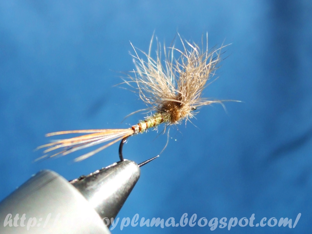 A pelo y pluma-- Flyfishing blog: Epeorus en PLA y CDC