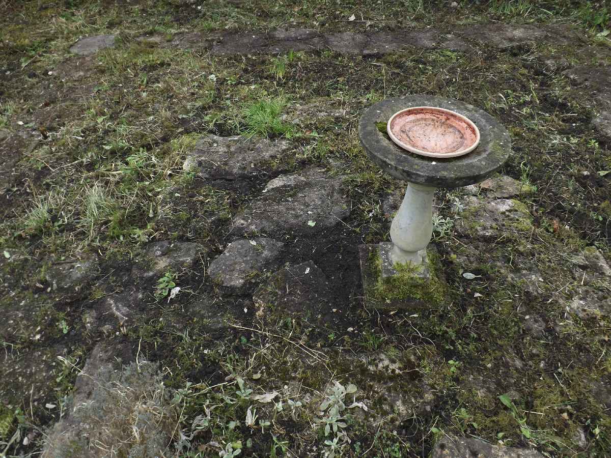 Moonlight and Hares: The days are getting lighter