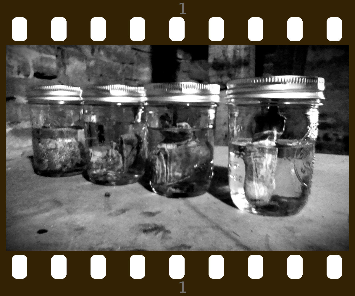 American Horror Story Inspired Preserved Organs DIY - Basement Horrors ...