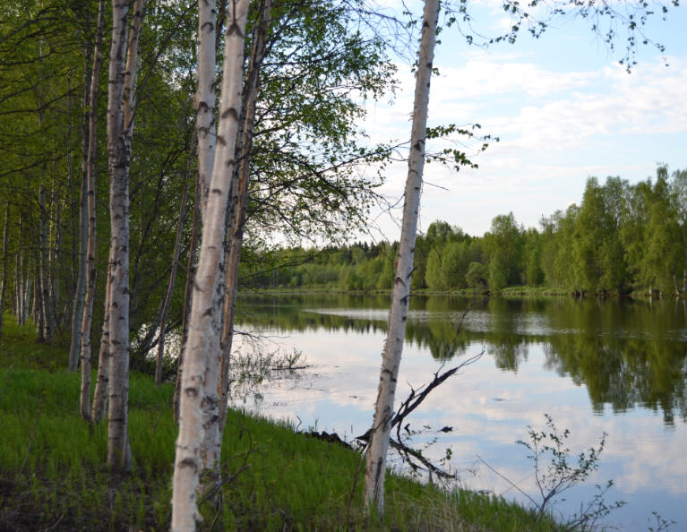 Pojat uimassa omassa rannassa :) – Kennel Lapland Lord’s