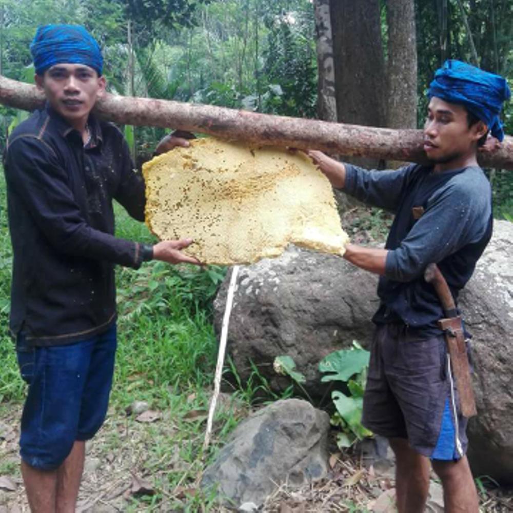 Wisata Baduy di Lebak Banten: Wisata Kampung Baduy