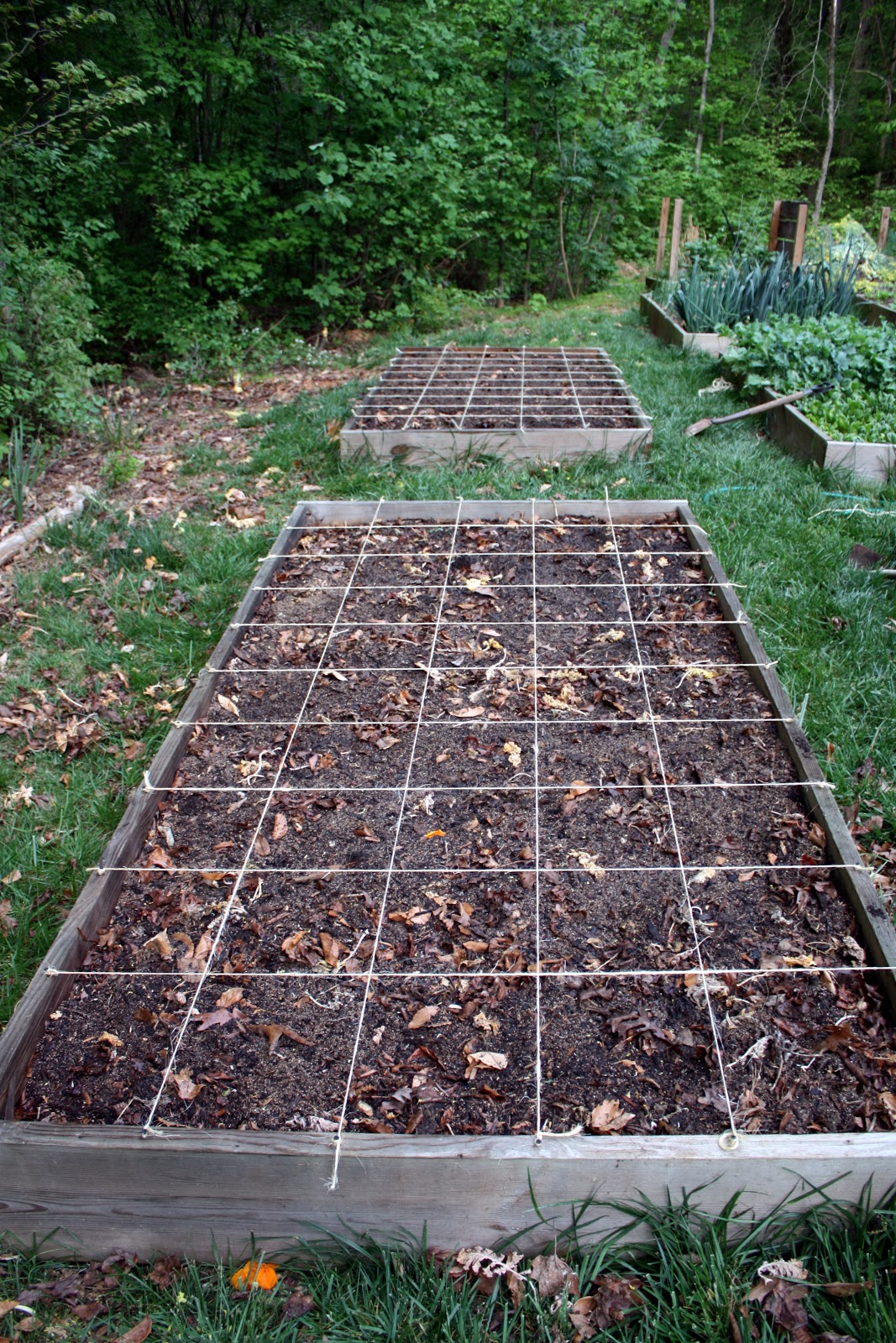 Carolina Country Living: Square Foot Gardening: The Work-With-What-You ...