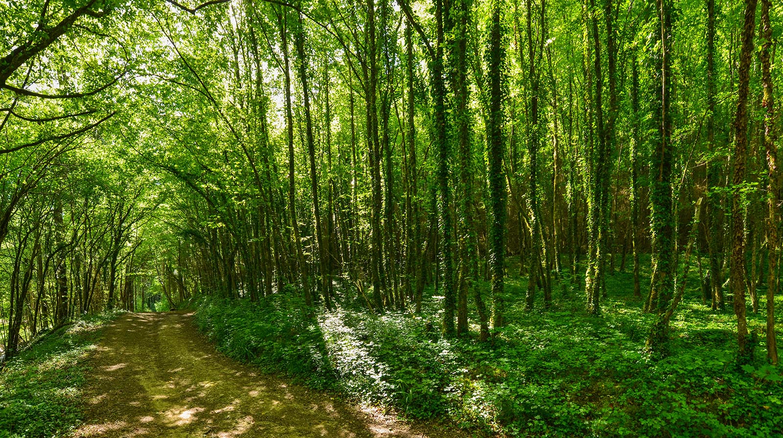 DROMESCAPE - Randonnées en Drôme et Escapades photographiques: Autour ...