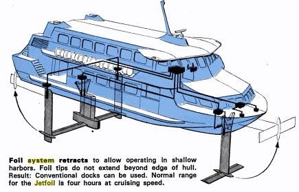 Yakushima Life: December 2015