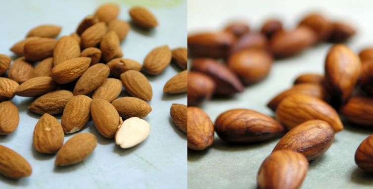 A MAGYAROK TUDÁSA: Csíráztatás