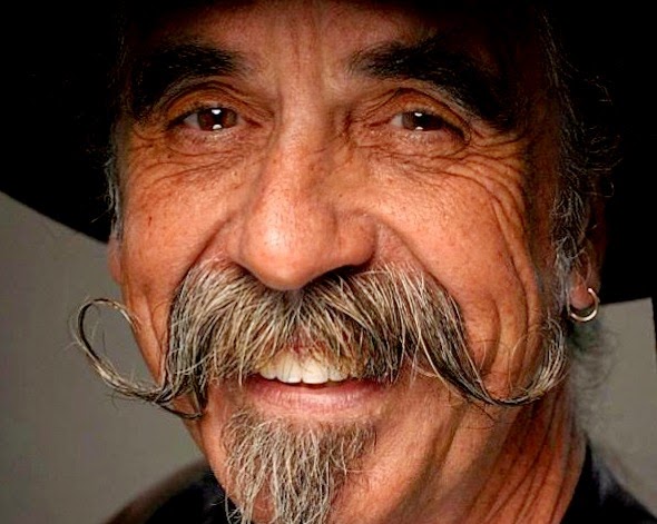 The Flying Tortoise: The Best Of The World's Beard And Moustache Art ...