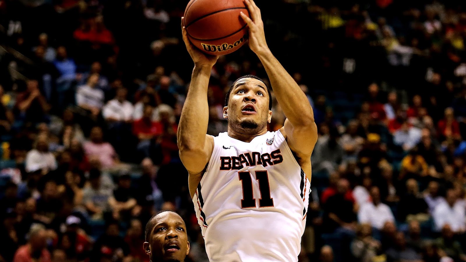 Arizona State Sun Devils men's basketball - Basketball Choices