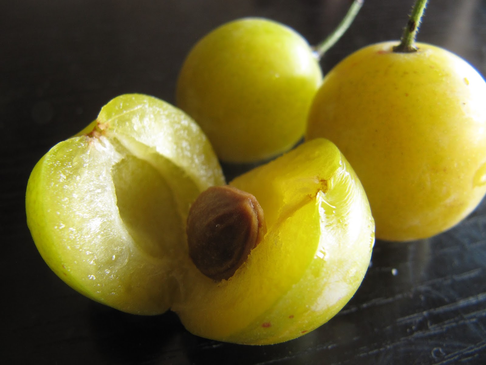 Fliederbaum: nachgekocht: Kriecherl-Ribisel-Marmelade