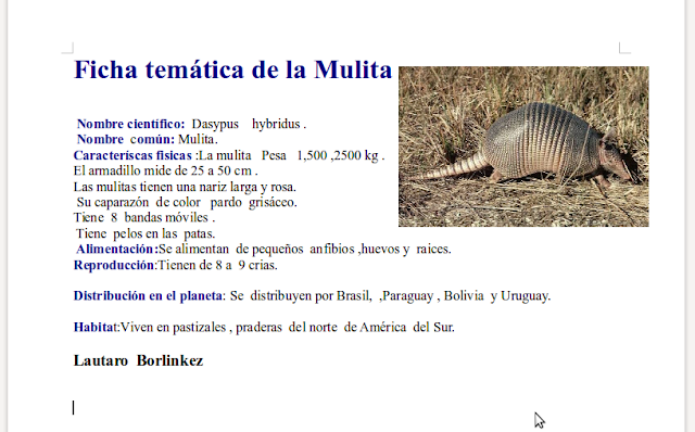 Descubriendo Bichos: Mulita