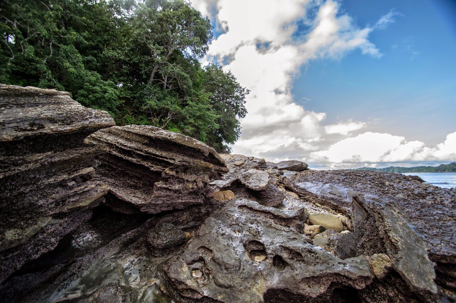 Pargo Roquero & Sebile Splasher | Kill the Rutine