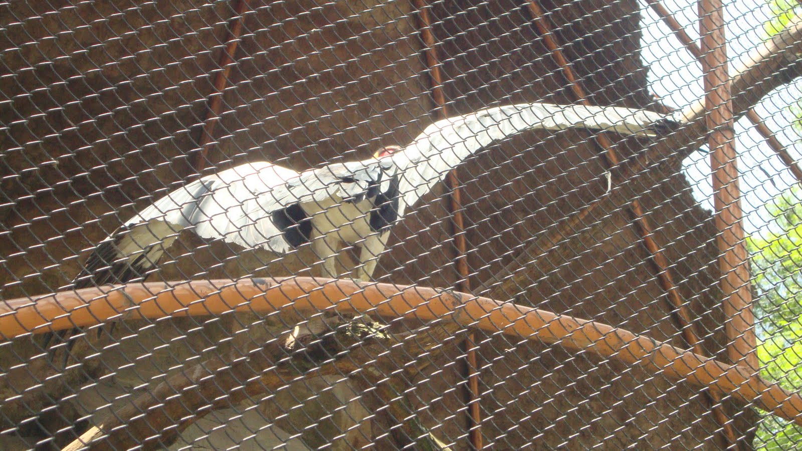 Clase de biolo: Rey zope