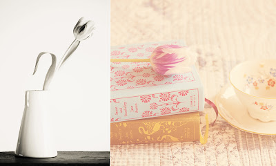 ooh pretty shiny over there ...