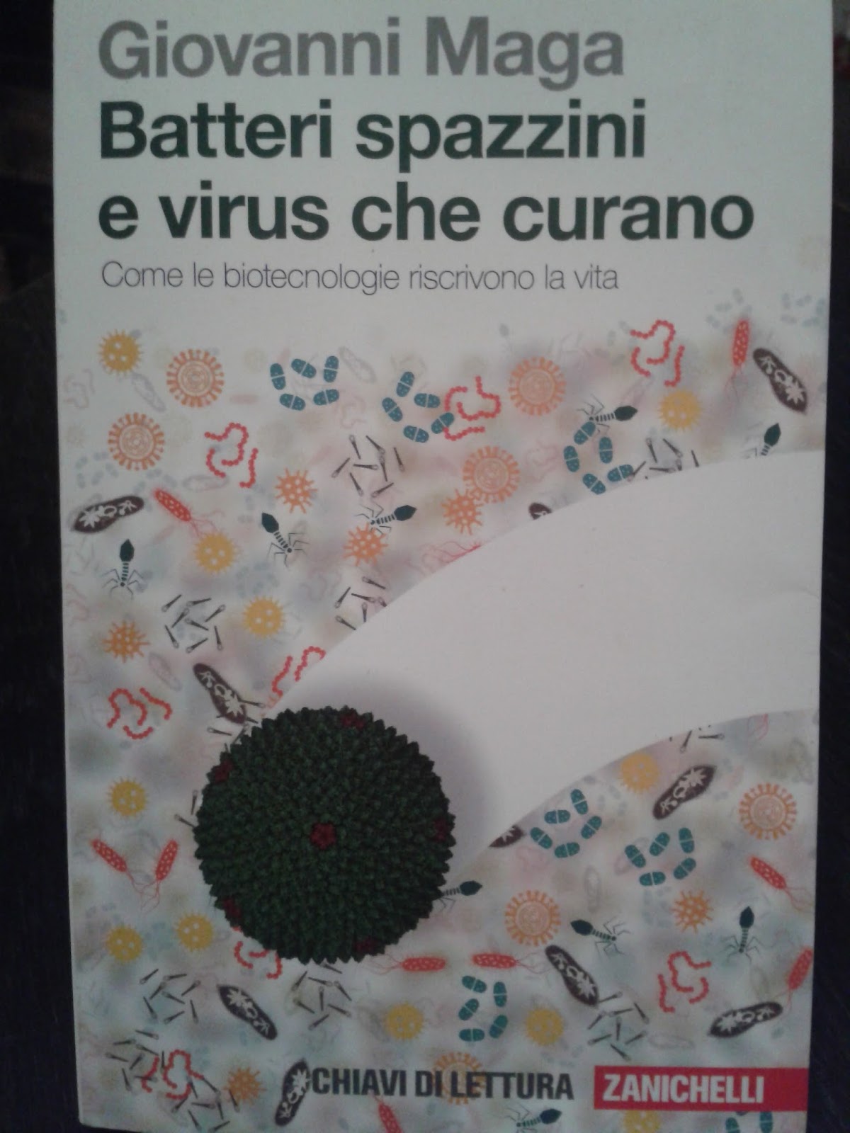 HOLOCLAR: IL PRIMO FARMACO DALLE STAMINALI - Gravità Zero