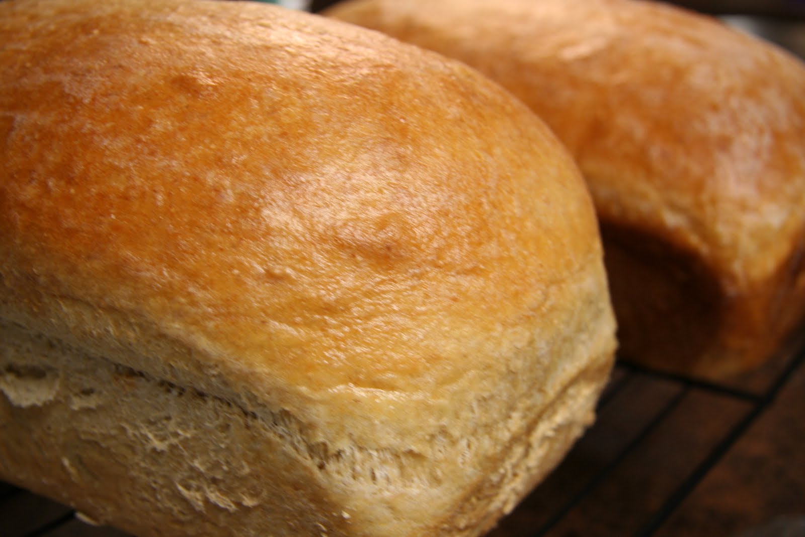 Kneady Sweetie: Yummy Whole Wheat Bread