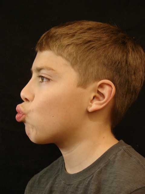 Cromofora La ( Paloma) Contemporary Online Art Gallery: DANIEL MAIDMAN