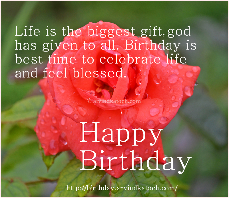 True Picture HD Birthday Cards : Life is the Biggest Gift (Happy ... True Picture HD Birthday Cards : Life is the Biggest Gift (Happy ...