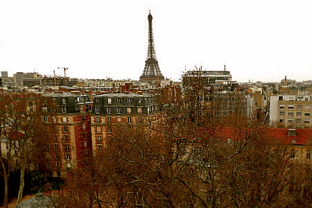 Petite Paris : A Home or a Hotel in Paris