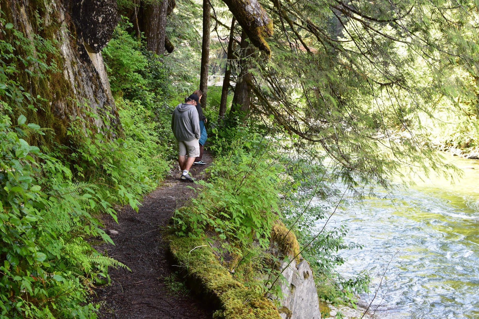 Wheelchair Wandering: Middle Fork of the Snoqualmie River