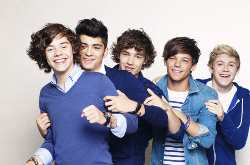 One Direction Girls ♥: Facts ;)