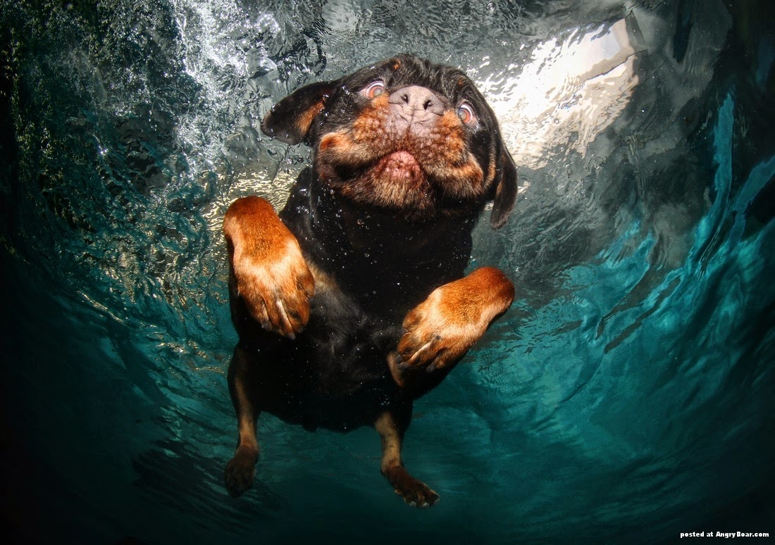 Claudio Tomassini: Seth Casteel