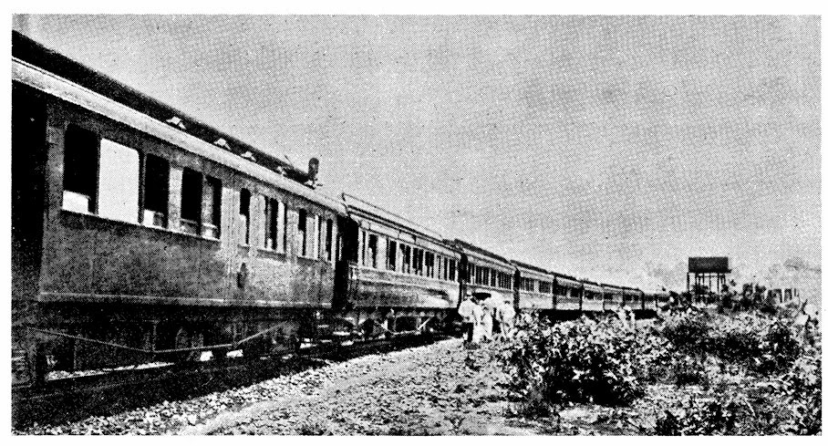 old STEAM LOCOMOTIVES in South Africa: SKUKUZA - Selati Train ...