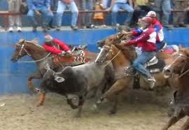 Sabor Venezolano: El Coleo: Deporte del LLano