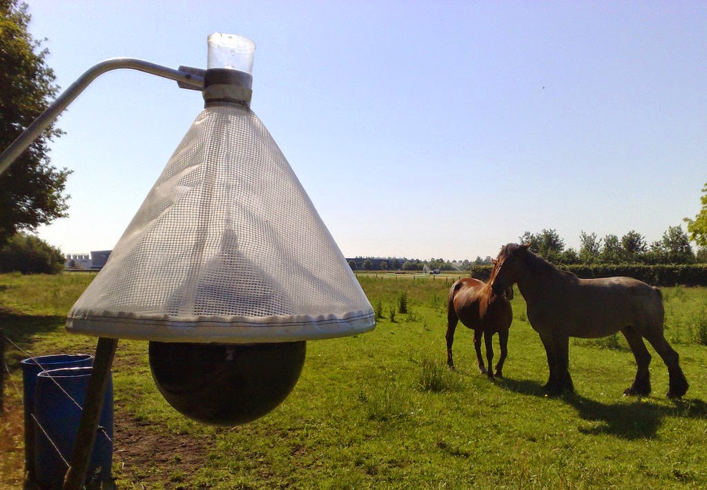 Dazenval H-Trap om dazenoverlast te voorkomen: Dazenval geschikt voor ...