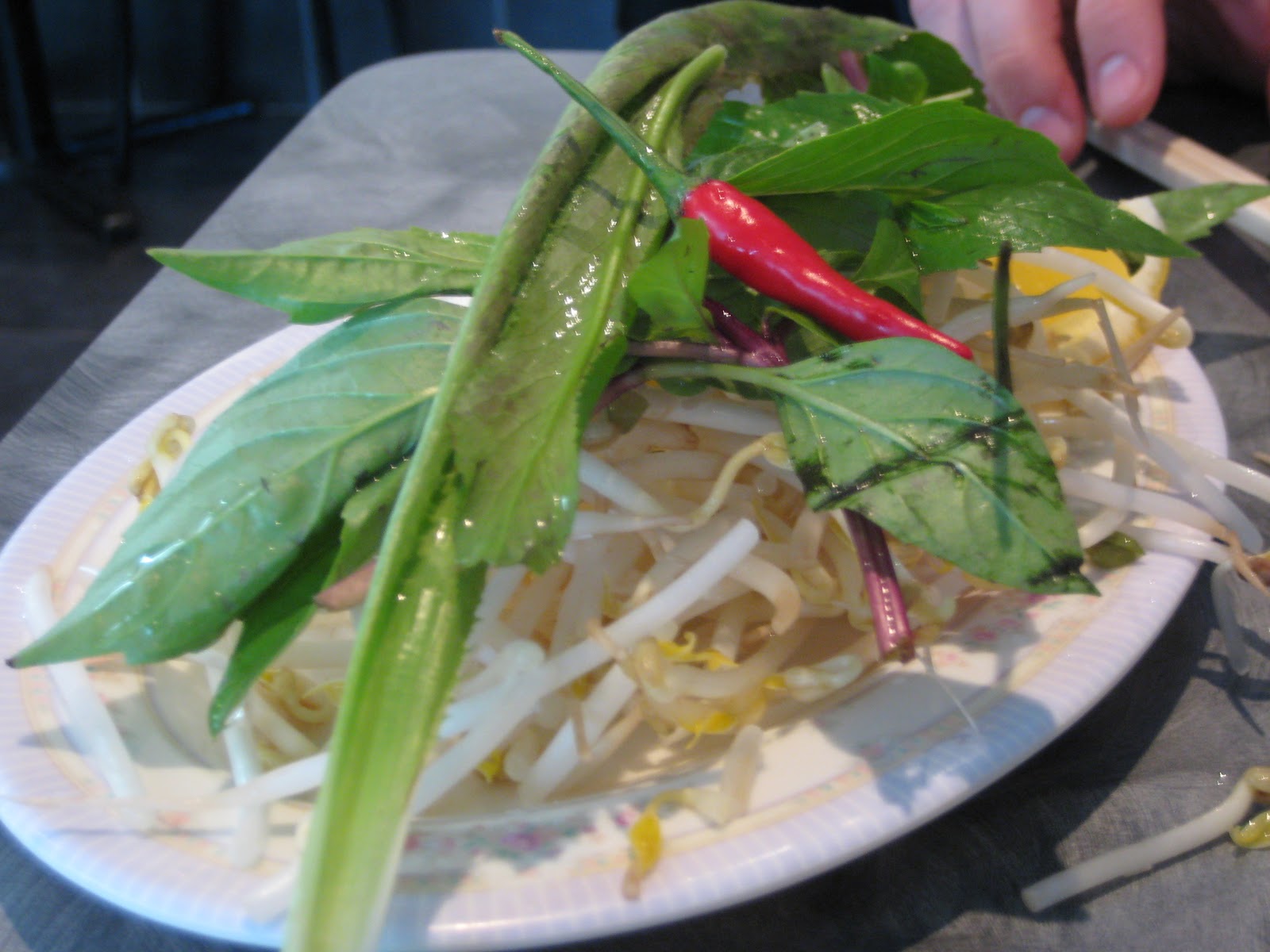 The Maple Years: Pho Bo, Hamilton - A little taste of Vietnam