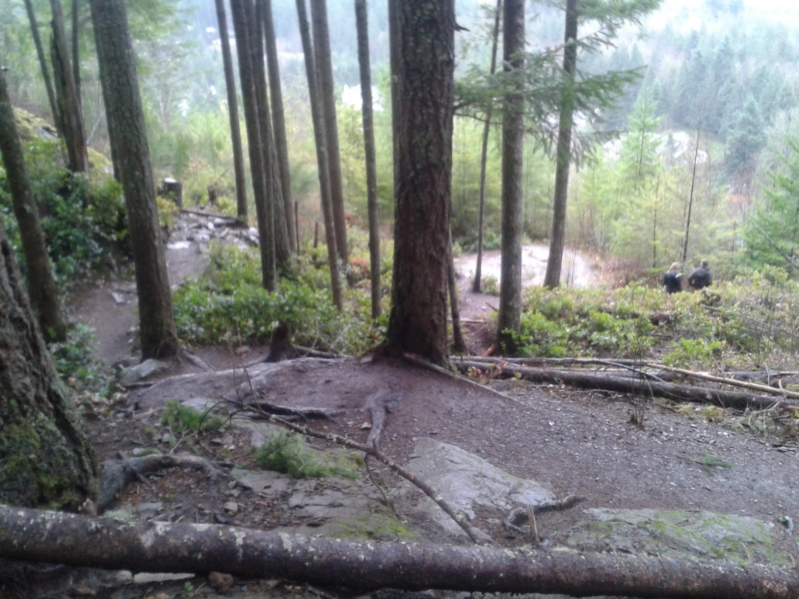 Urban Trailseeker: Hiking Trip Report: Little Si, Boulder Garden Loop