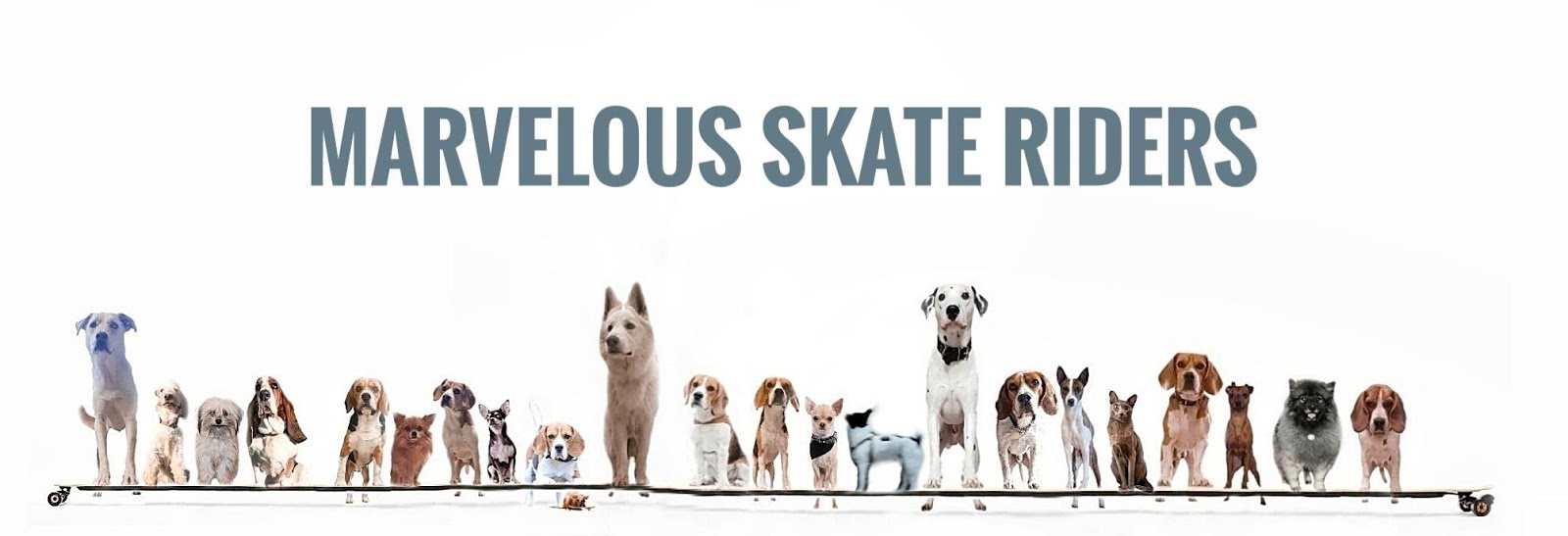 Loki fait du... skateboard