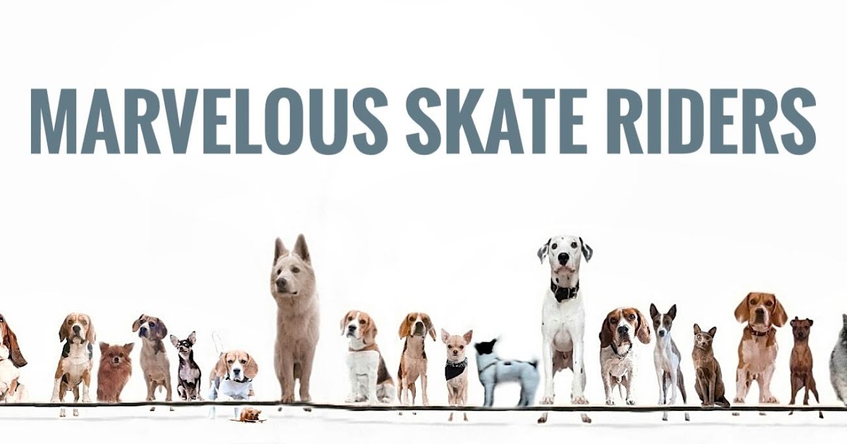 Loki fait du... skateboard