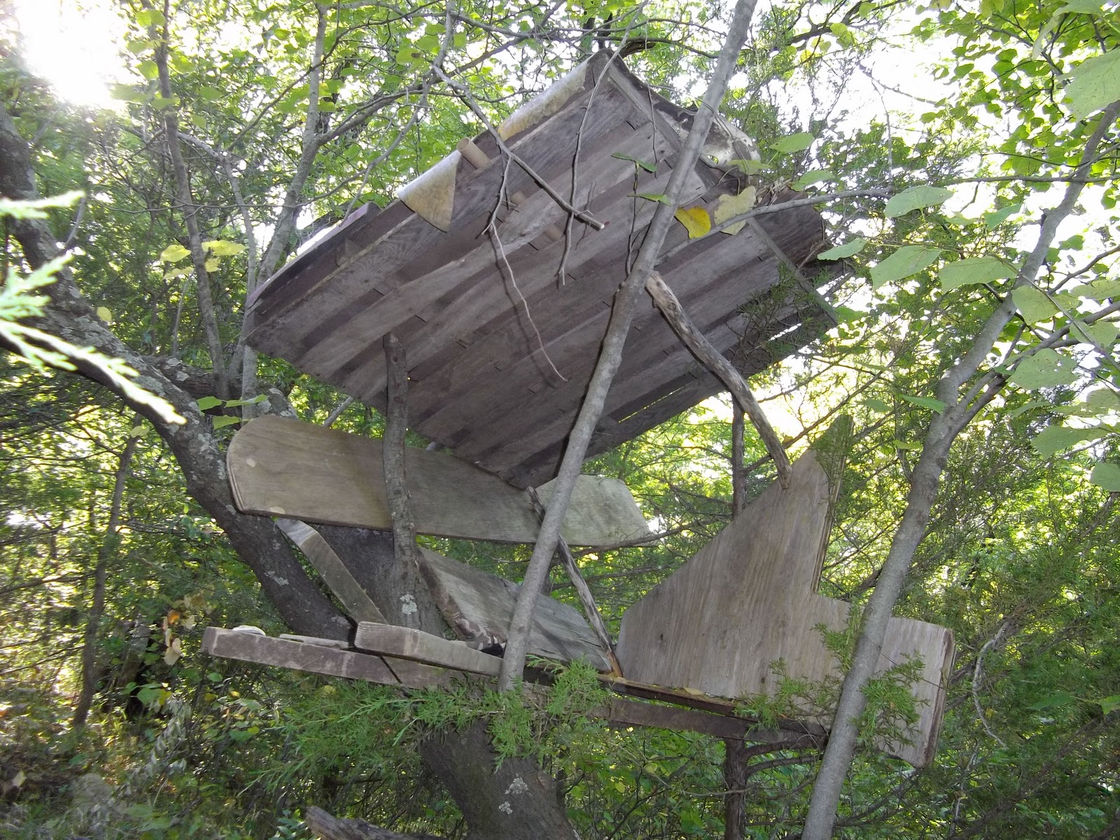 Survivor101Guys: Tree Fort