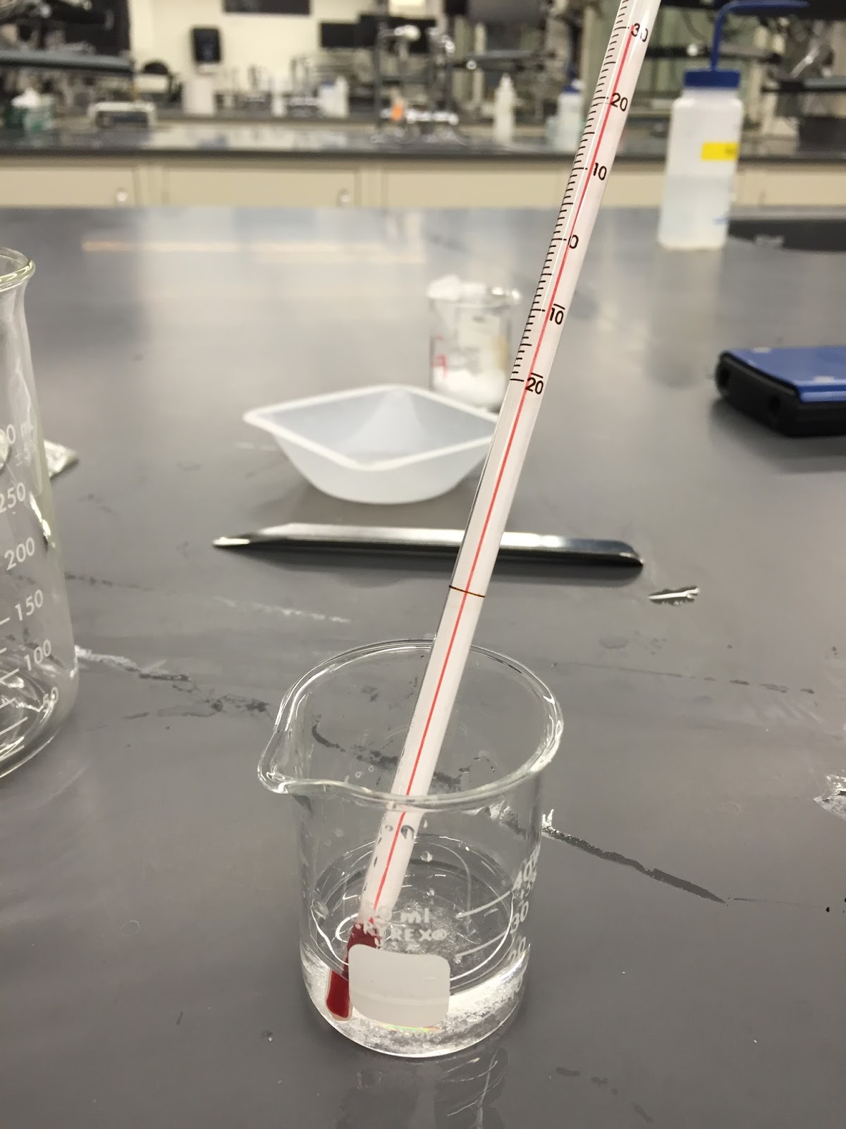 Meghana's Molecules: Solubility: A Guided Inquiry Lab