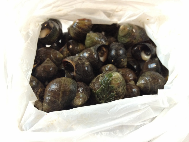 Free From G.: How To Prepare Winkles