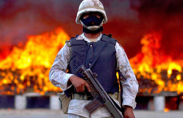 ESTA ES LA RADIOGRAFÍA COMPLETA DEL NARCO EN MÉXICO - El Diario Del ...