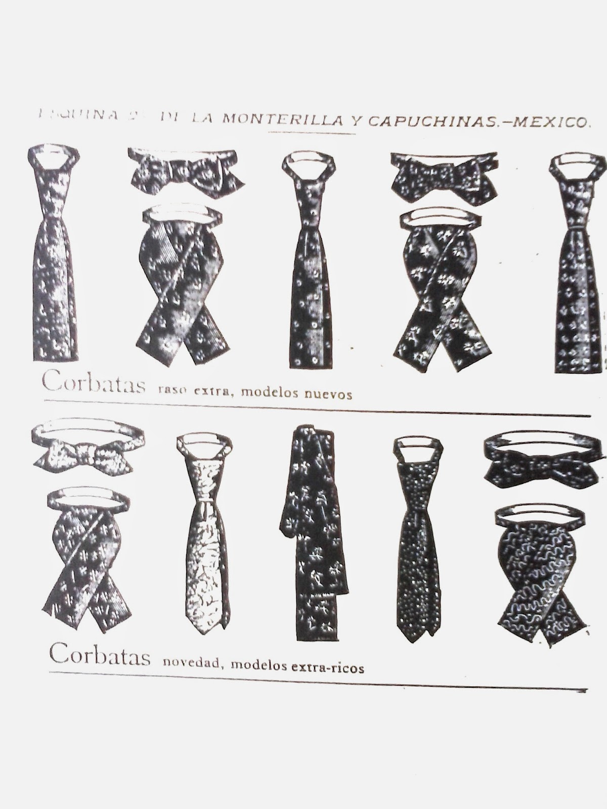 kaloniko-nykur: junio 2014