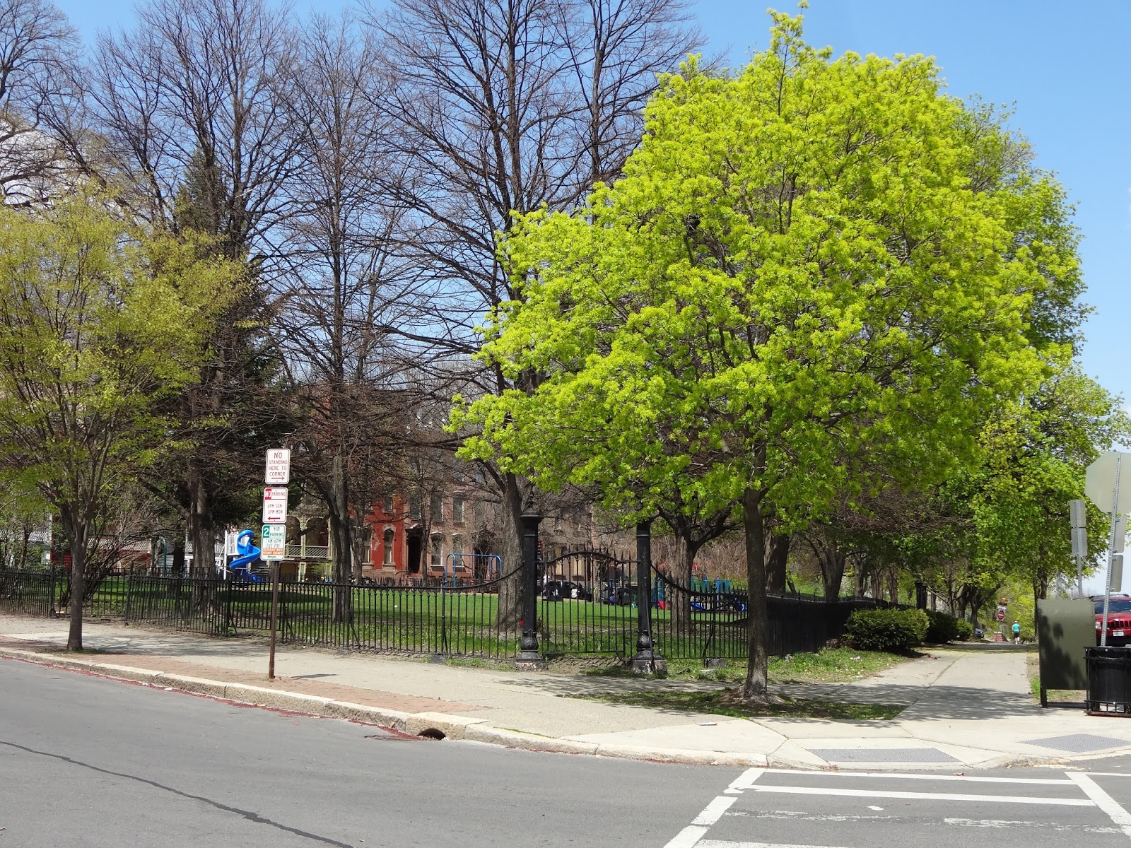 Albany (NY) History: The Grim Past of Van Rensselaer Park