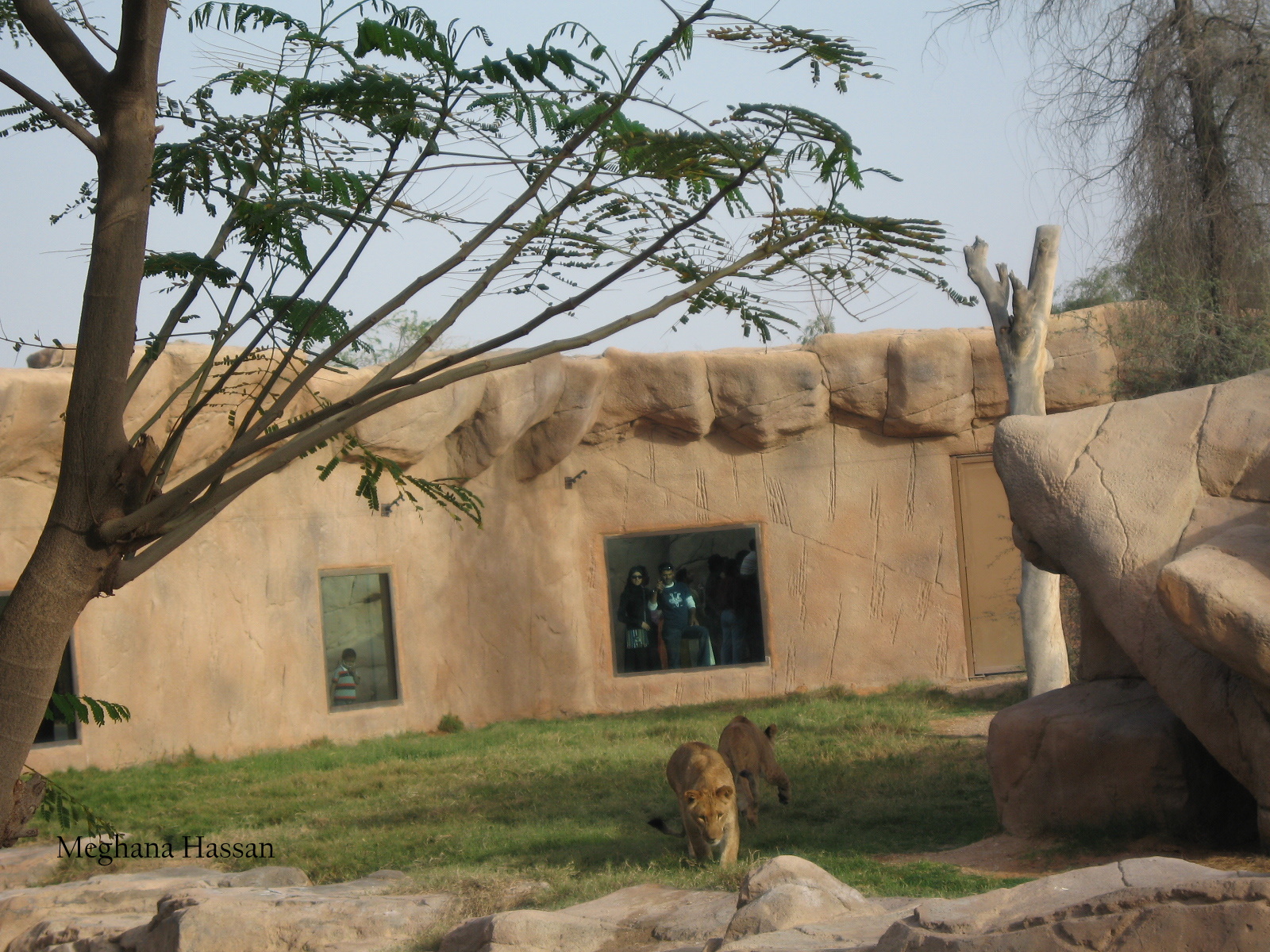 My World: Al Ain Zoo