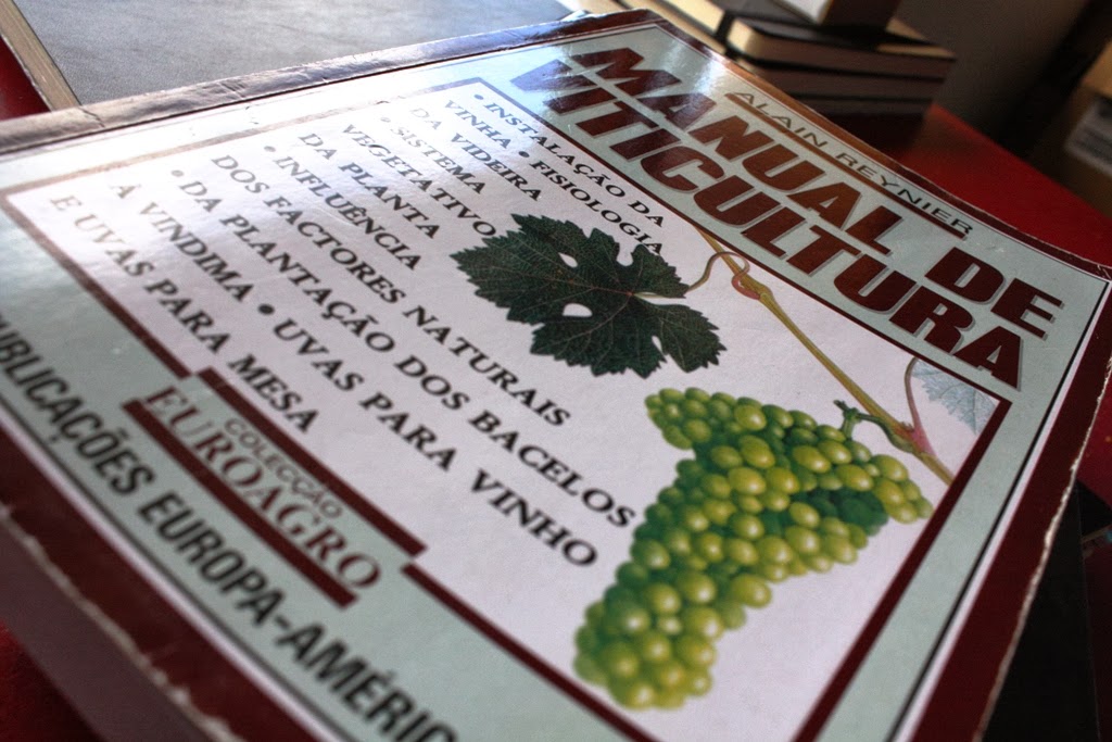 Manual de Viticultura by Alain Reynier