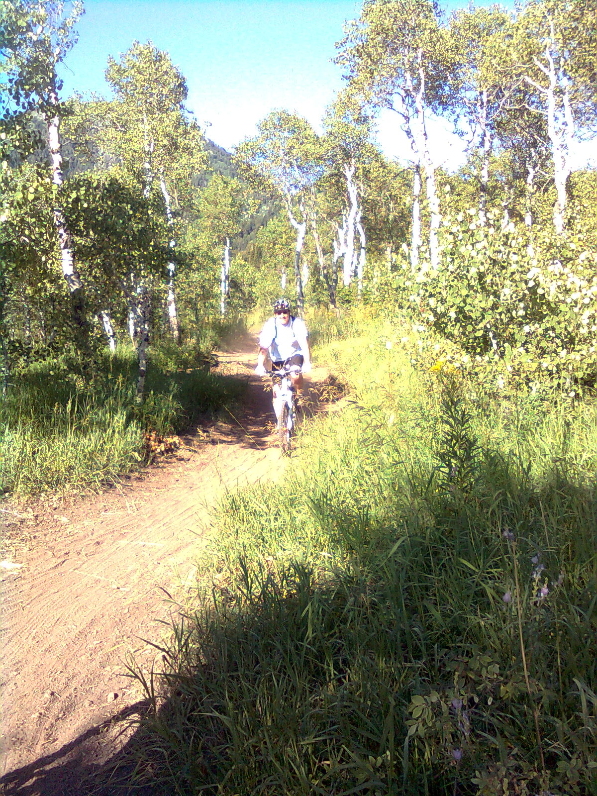 Rocky Mountain Biking: Snowbasin Sampler: Wheeler, East Fork, Maples ...