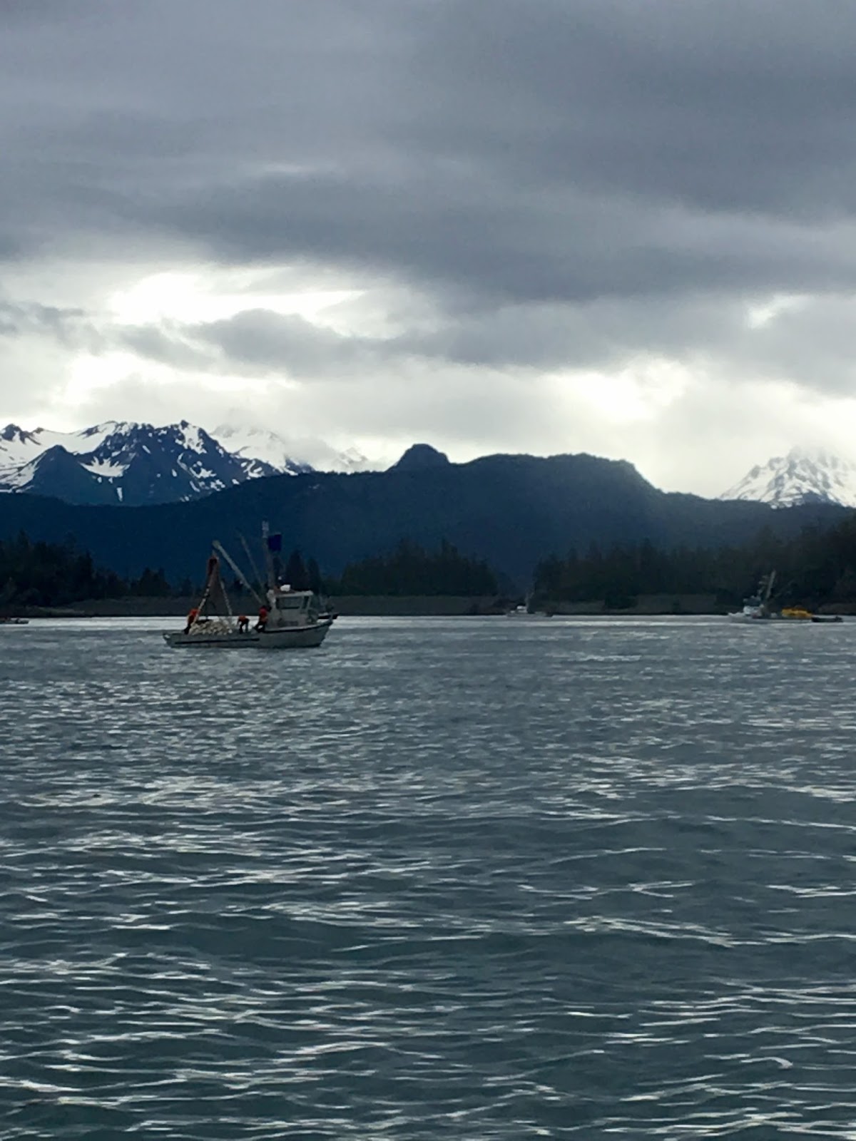 The Life of H. Ernest Chen: Visiting Shannyn in Little Tutka Bay, AK