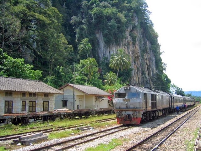 Malaysiana Explorer: The Jungle Railway Experience