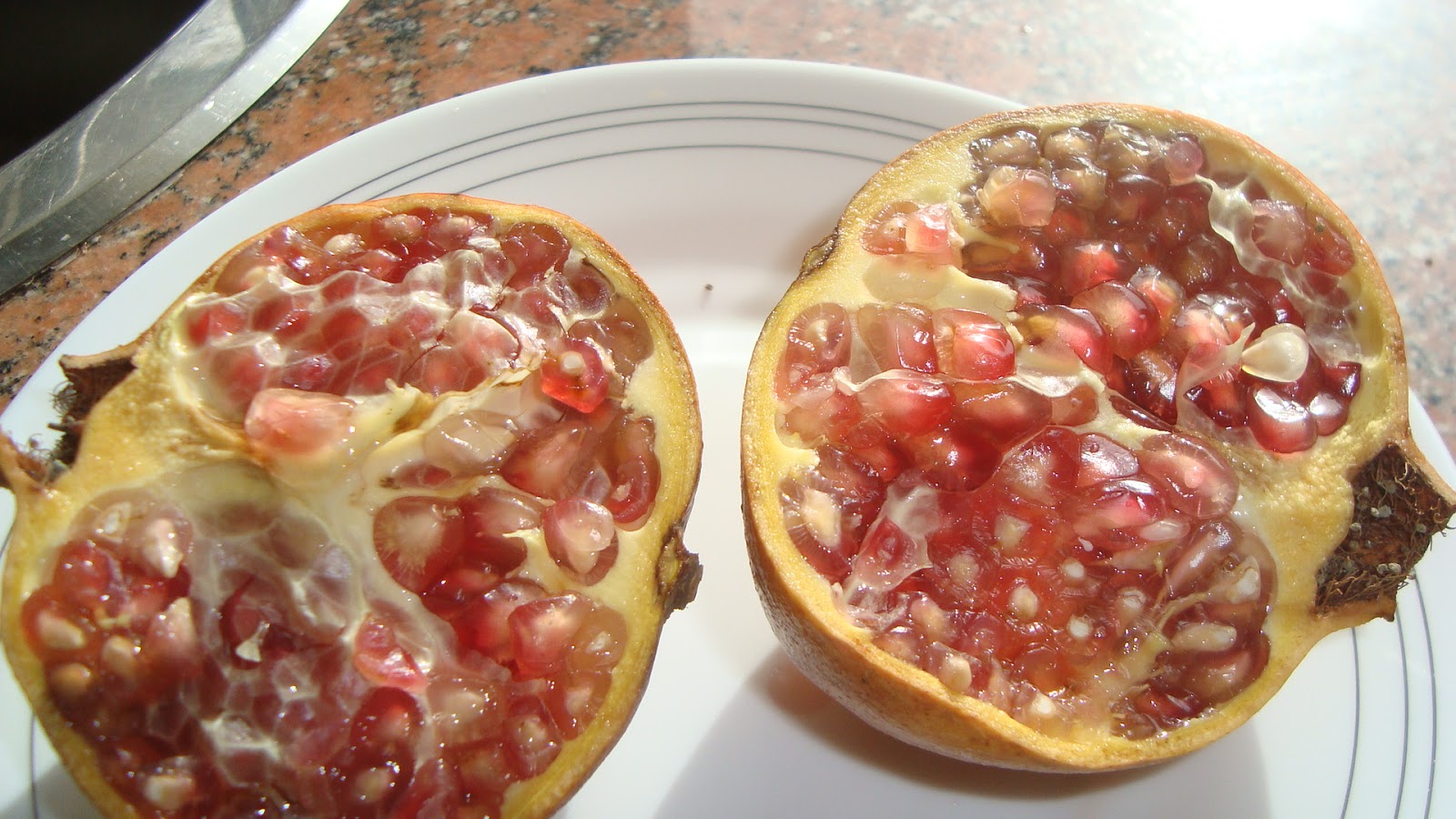 EL GRANADO ORNAMENTAL ( PUNICA GRANATUM ) - El Jardín de Elbe